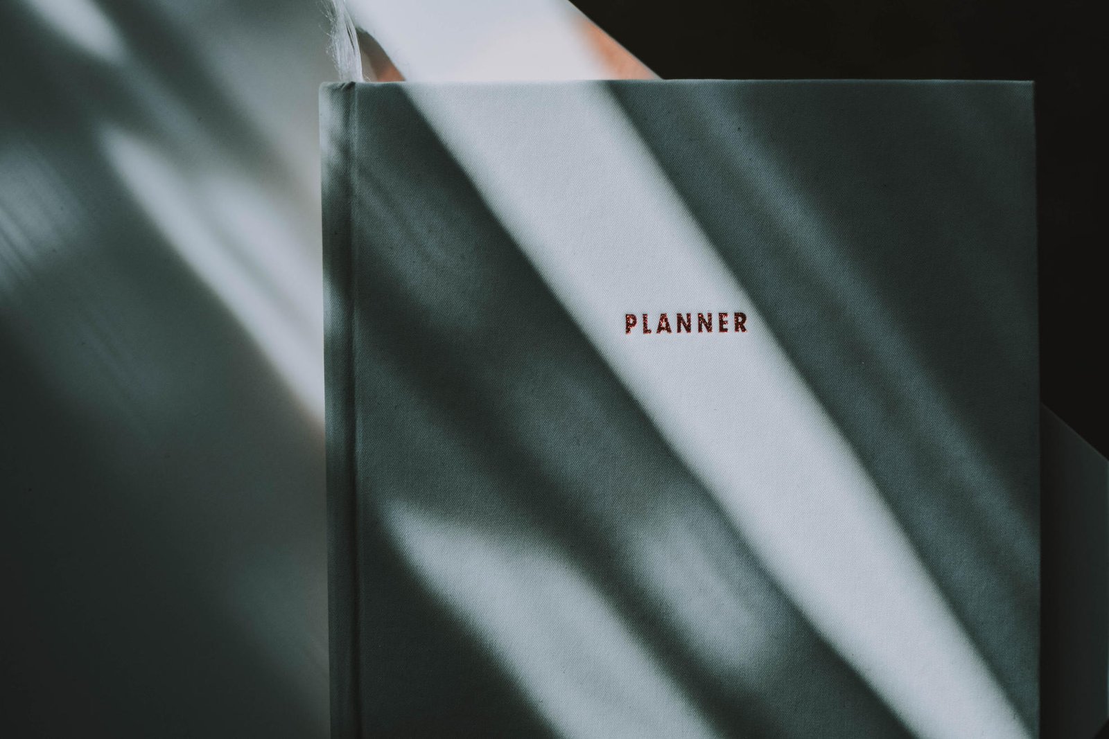 Free For You! UK Planting Planner - The Project Lounge